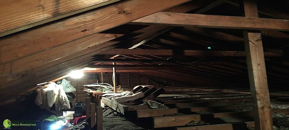Attic Mold Removal - Eradicator Mold Remediation Services