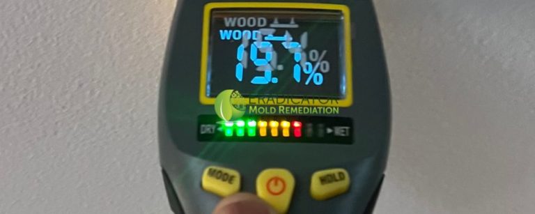 Mold Testing - Eradicator Mold Remediation Services