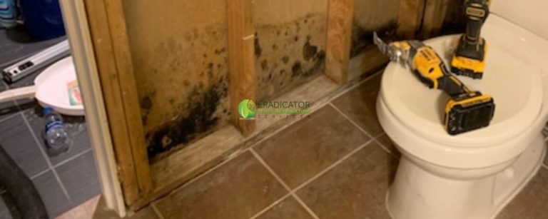 Bathroom Mold Removal - Eradicator Mold Remediation Services