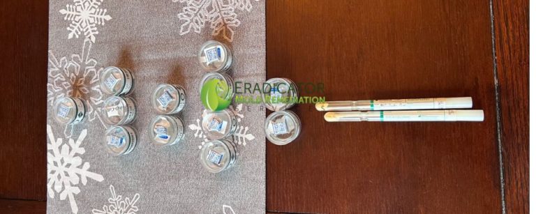 Mold Testing - Eradicator Mold Remediation Services