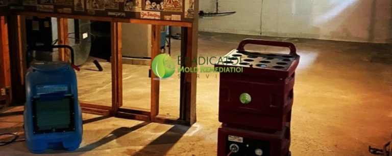 Mold Removal Equipment - Eradicator Mold Remediation Services