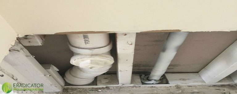 Mold and PVC Pipes - Eradicator Mold Remediation Services
