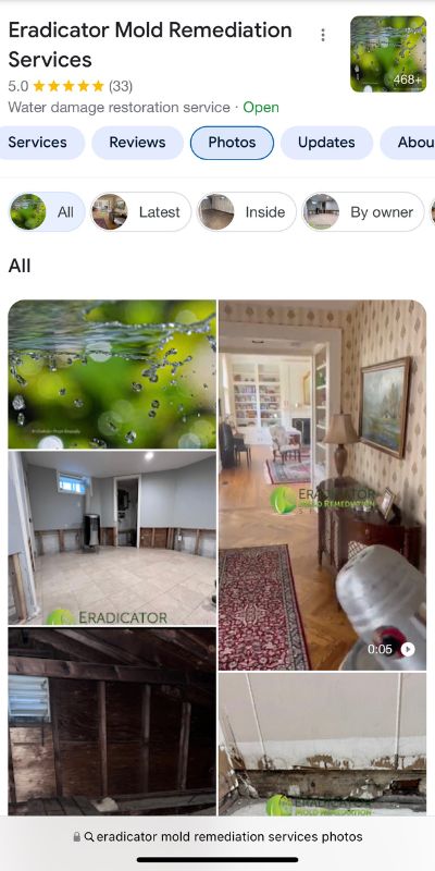 Ramsey NJ Eradicator Mold Removal - Mold Testing