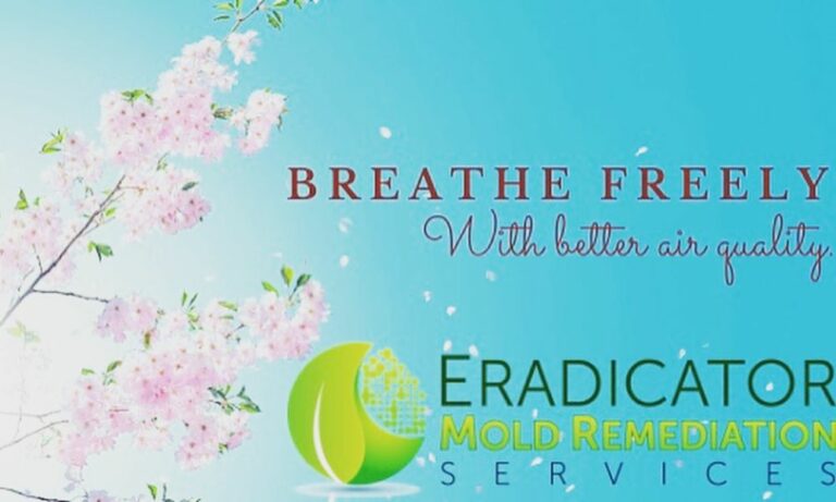 Blooming Tree - NJ certified Mold Inspection, Mold Testing, Mold ...